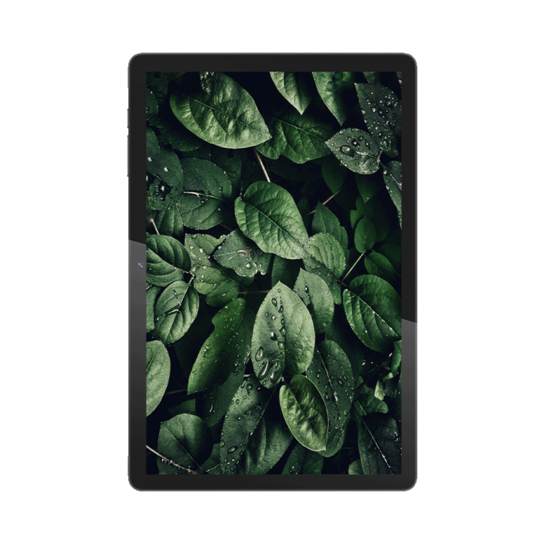 Smart-tablets - Rizzen